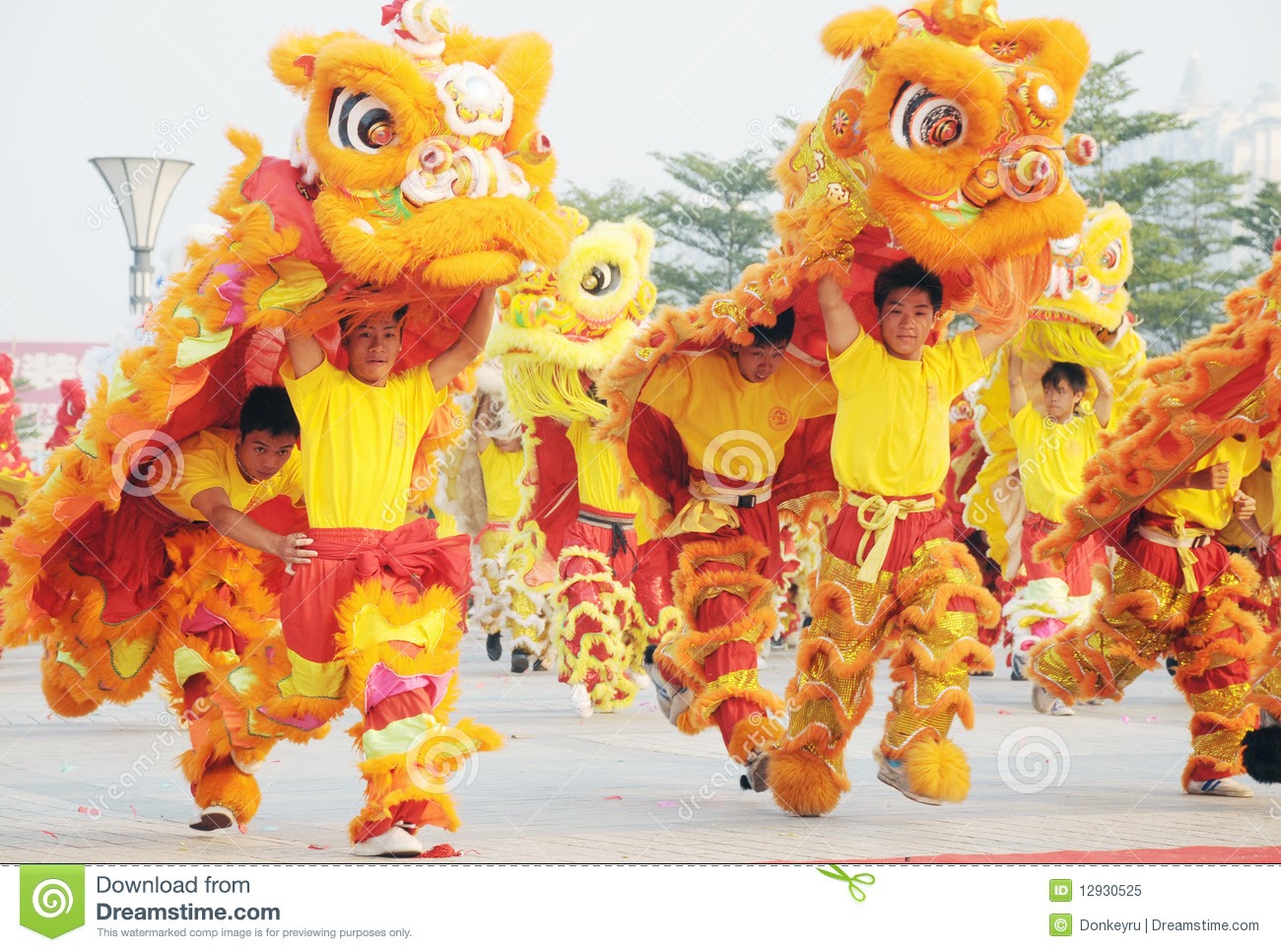 purpura: LA DANZA DEL LEÓN