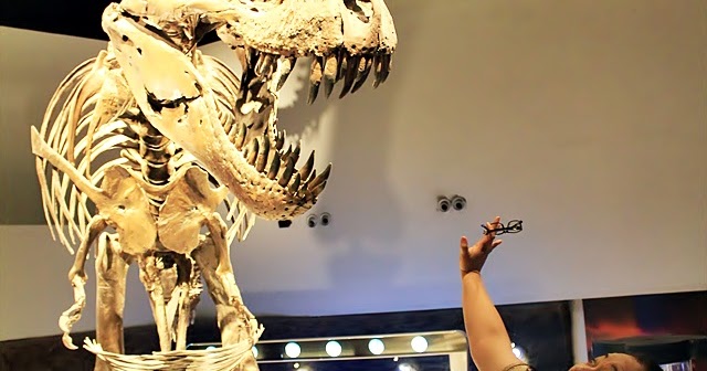 Dinosaur at the Mind Museum ~ Travel, Photographs and Lifestyle