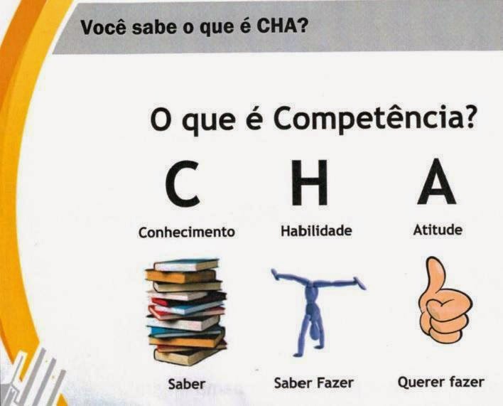 canal da administração: Cultive o chá do sucesso diariamente na sua vida