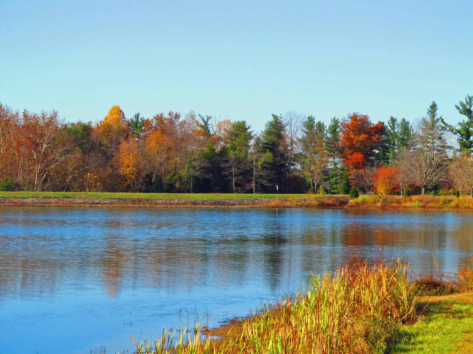 Summit Musings: Watery Wednesday - Lake Views in Bernheim Forest