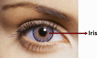 Welcome to Fisika Excellent !: All About Optik dan penyimpangan dalam ...