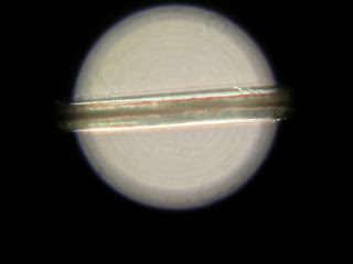 Answering Questions: What does grey hair look like under a microscope?
