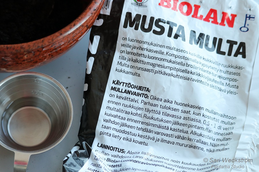 Sarin puutarhat: Pelargoni ja Musta Multa