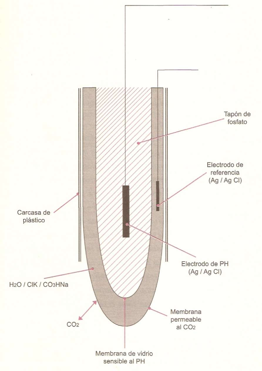 Enfermería en el Laboratorio de Bioquímica: TÉCNICAS ELECTROQUÍMICAS