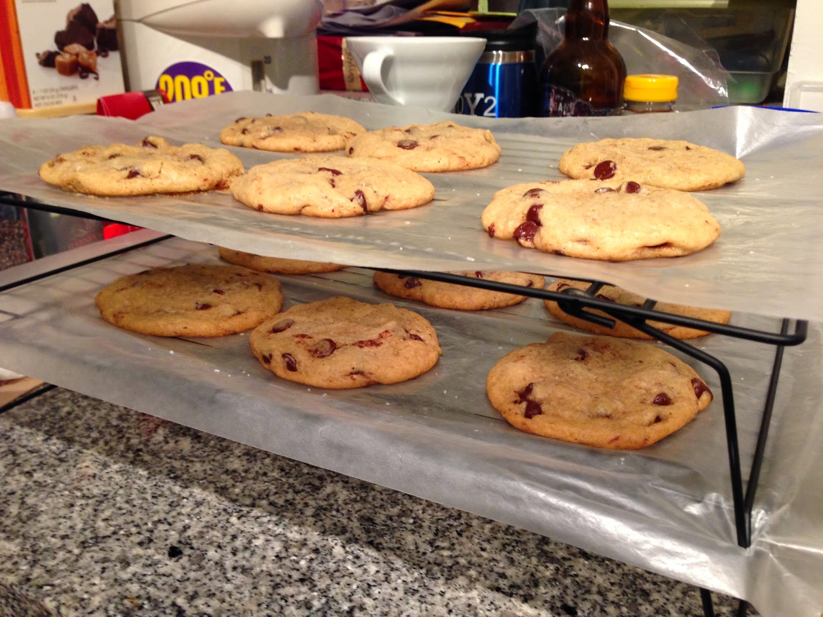 panda bytes: Chocolate Chip Cookies