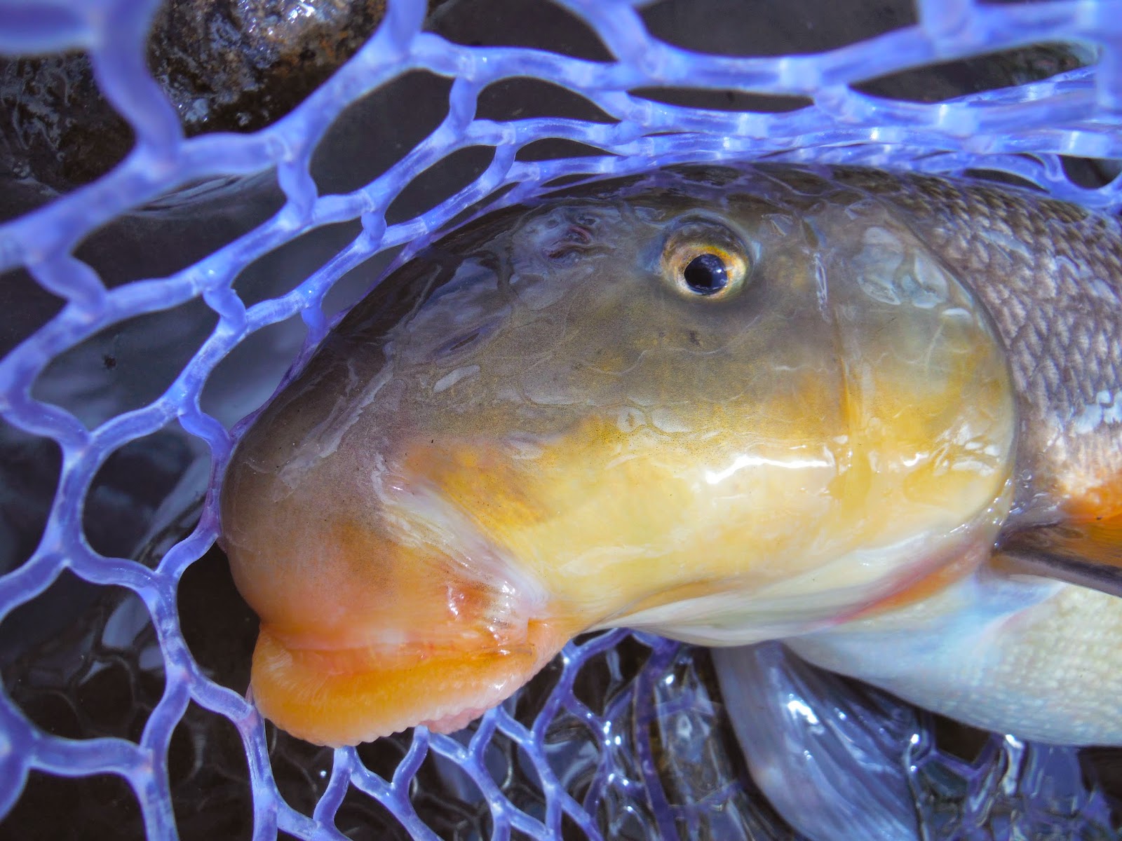 Erik’s Fly Fishing Blog: April 2014