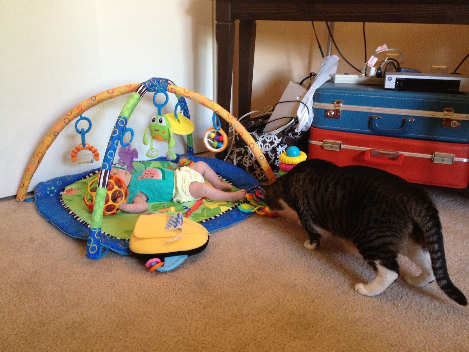 Polka-Dotty Place: Favorite Baby Play Items 0-2 Months