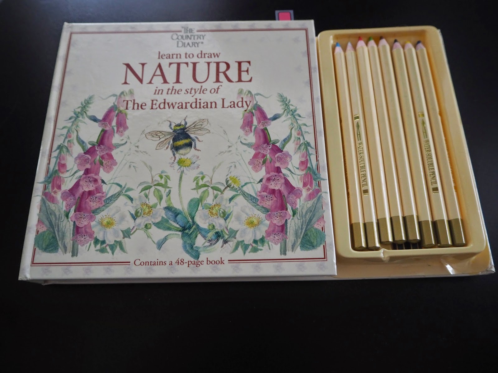 Morning Musings: Country Diary of an Edwardian Lady - January