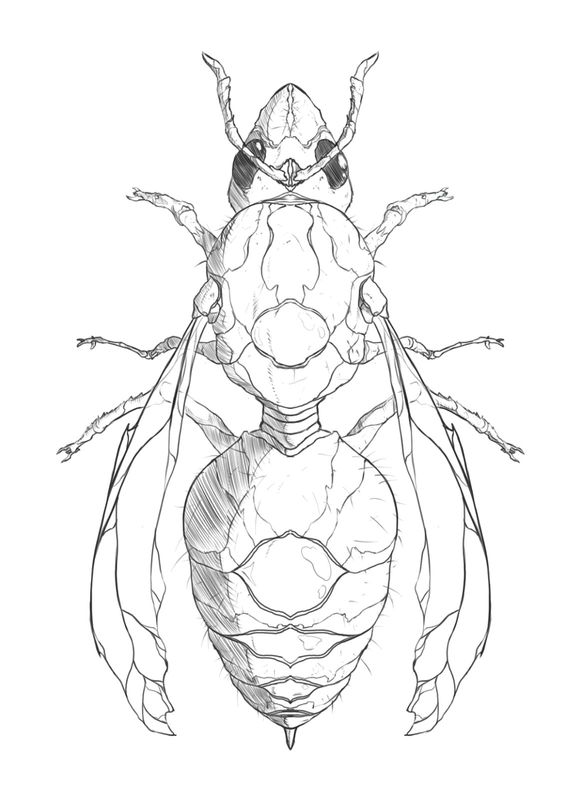 Skye's Scribblings: Mythical Creatures in The Inquisition by Taran ...