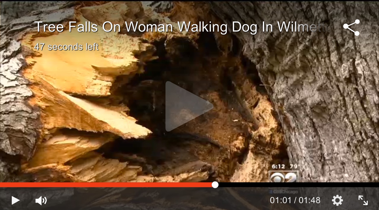 Seemorerocks: Trees - rotting from the inside