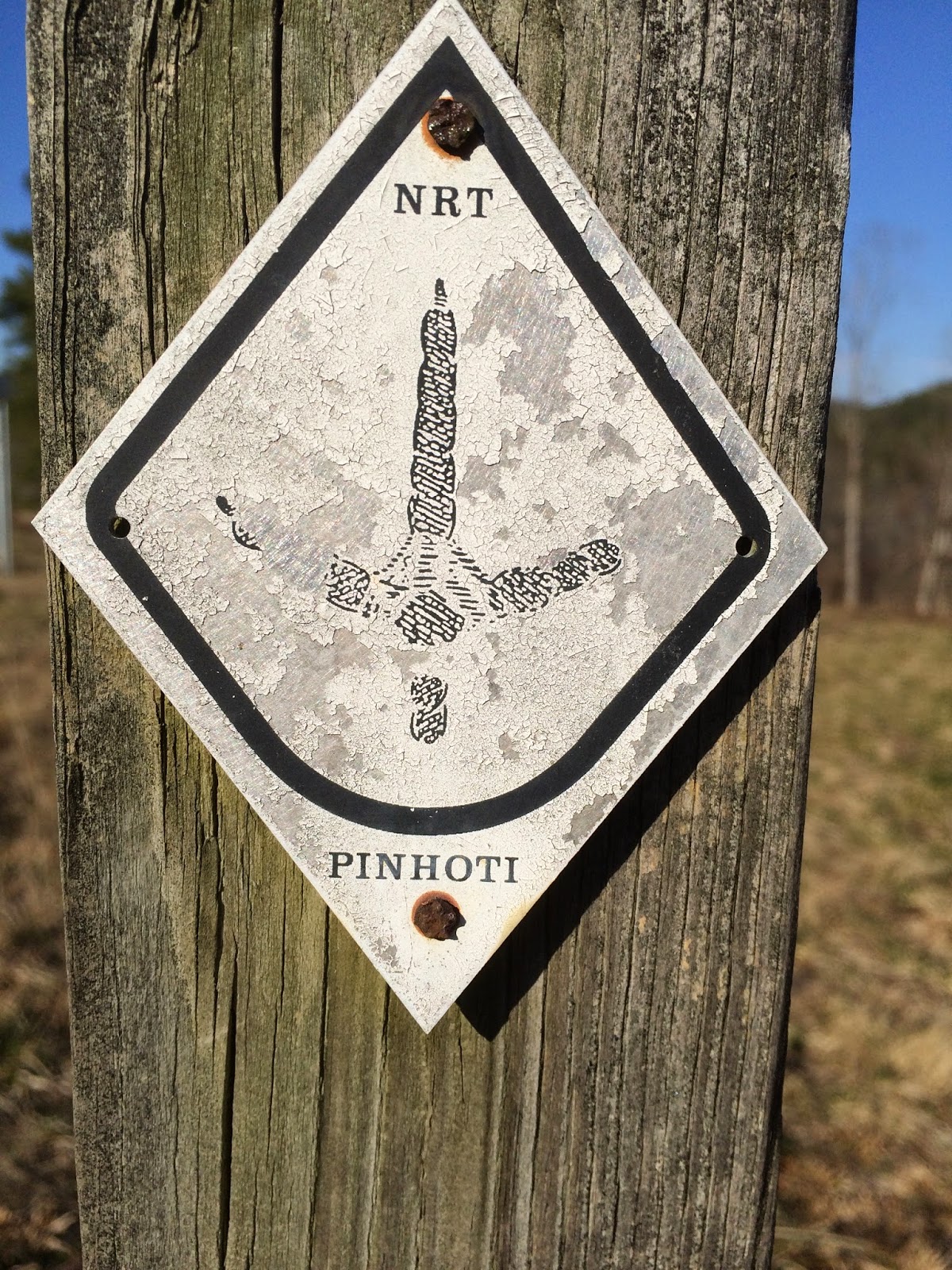 among nature: Dugger Mountain Tract, Alabama Pinhoti National ...