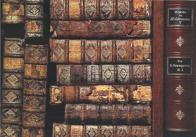 Allemaal kaarten! : Oude boeken