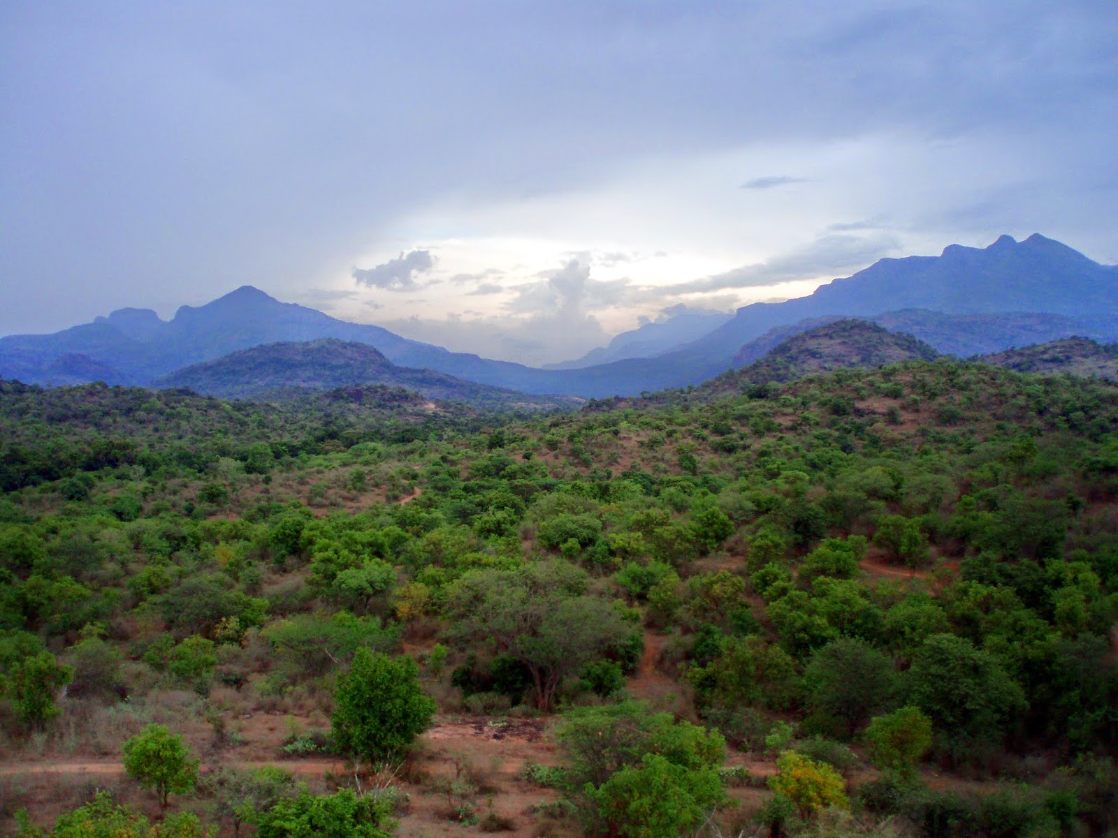 An Amazing Travel Blog: The Lustres of Chinnar Wildlife Sanctuary