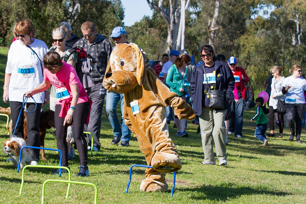 Pawsitive Steps The Hills 2017 - August 27 | Australian Dog Lover