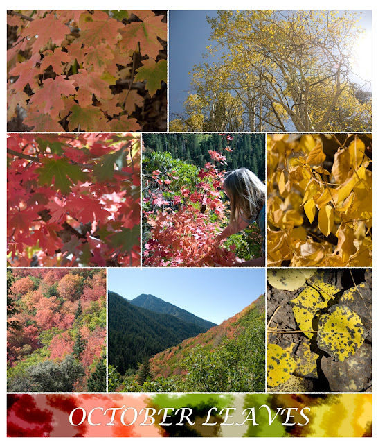 May's Petals: Monthly Inspiration: October Leaves