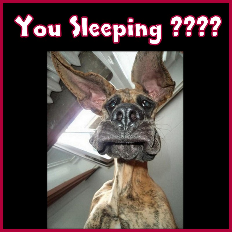 Photos That Make Us Smile: Wakey Wakey