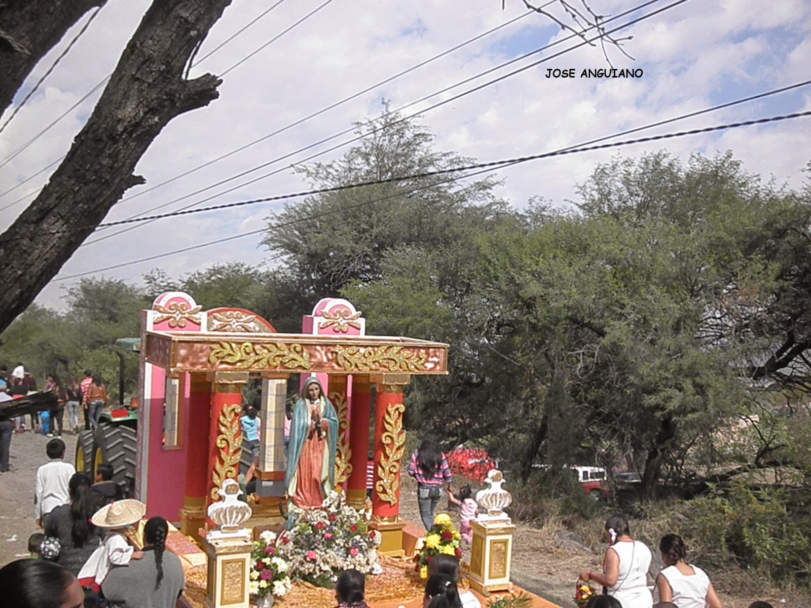 ZACOALCO DE TORRES JALISCO MEXICO: ZACOALCO DE TORRES IMAGENES