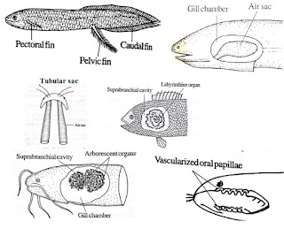 Biolearnspot: March 2016