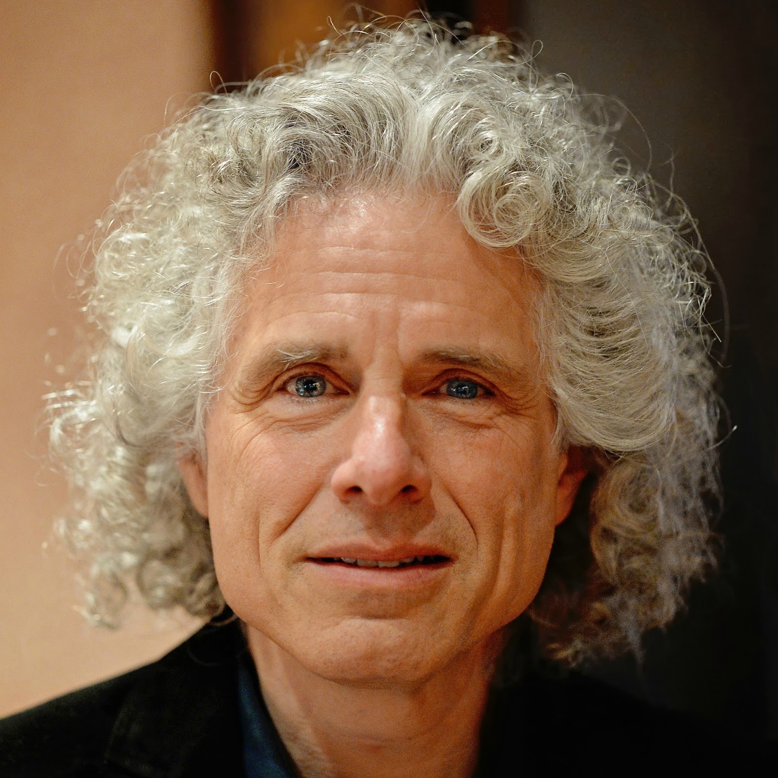 N/A: Mnemotechnique, Dumbass Media-hound. Steven Pinker. Images. His face.