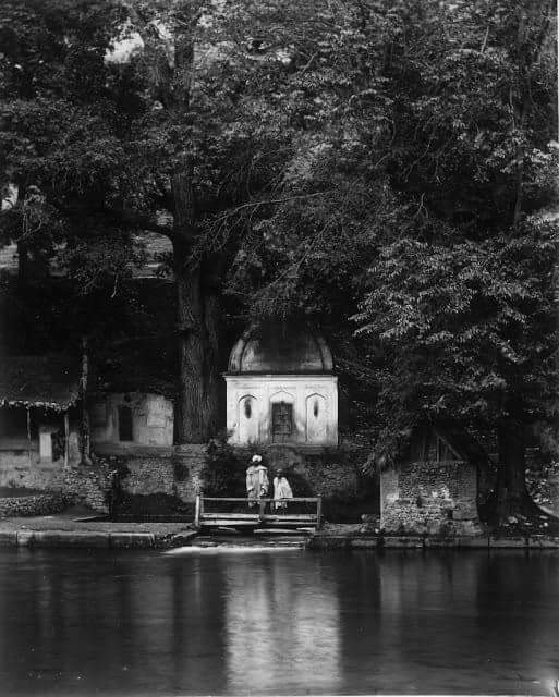 CHINAR SHADE : October 2012
