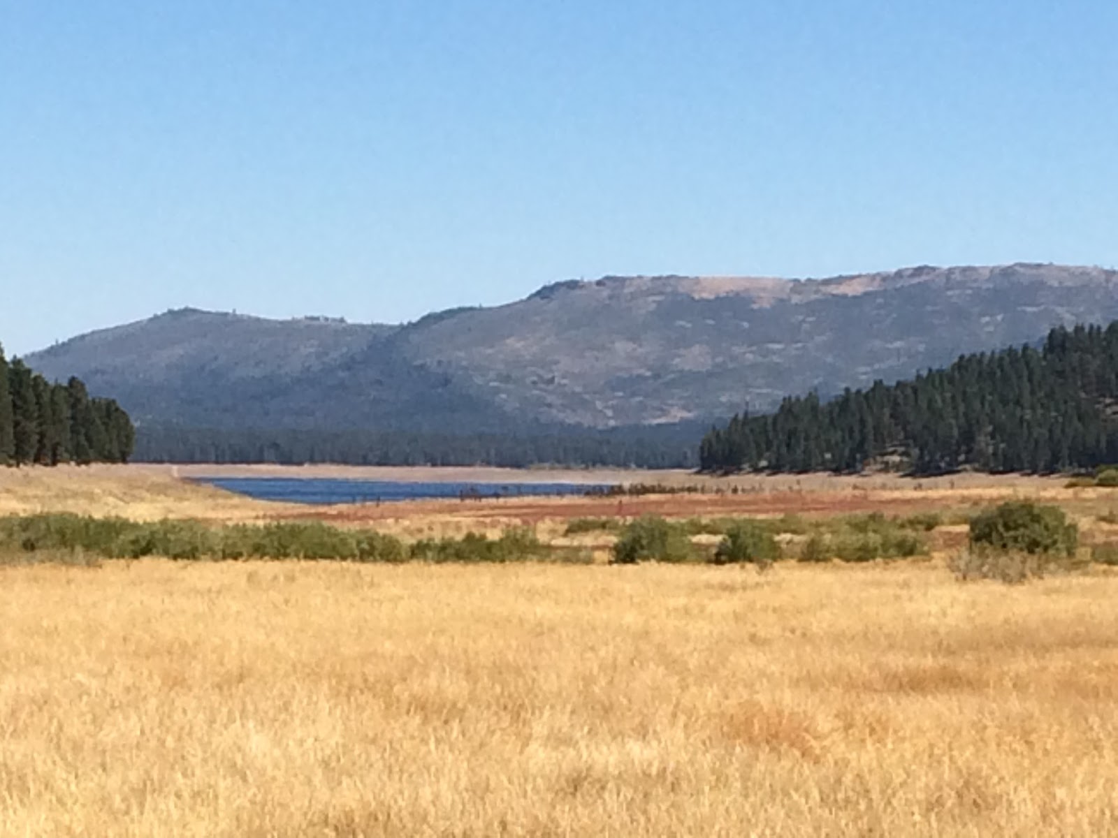 Wendy's Favorite Place