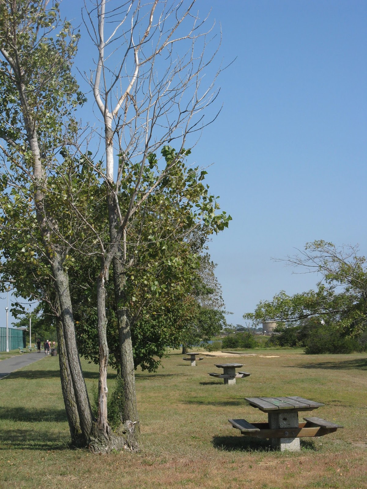 Queens Crap: Charles Park needs some NPS love