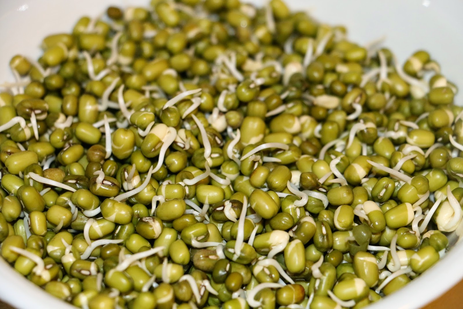 yummy delight for u: Sprouting Moong/Mung beans, How to Sprout Moong ...