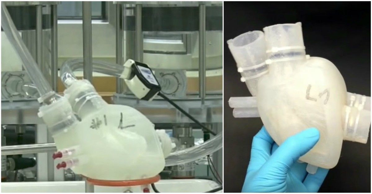 El Magazin de Merlo: CORAZÓN impreso en 3D: Crean corazón artificial ...