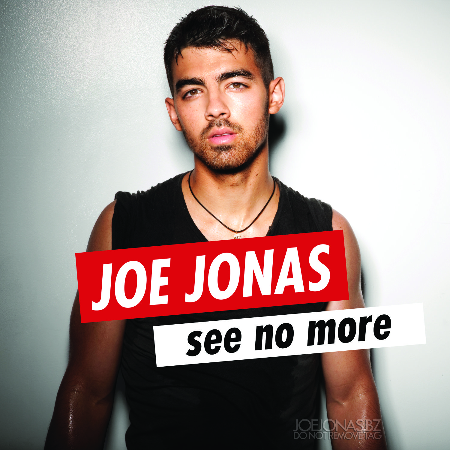 Team Jonas Brothers Brasil: Capa Internacional de "See No More" em alta ...