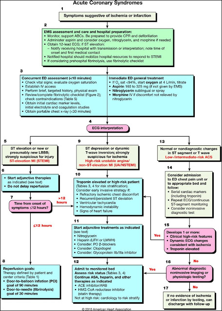 A & E Nurse's and Medic's View: BLS/ECC/ACLS Providers Updates (2010 ...