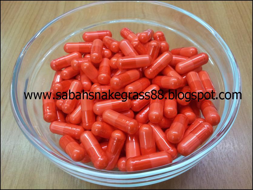 Sabah Snake Grass Dealer Singapore: Prices of Sabah Snake Grass Leaves