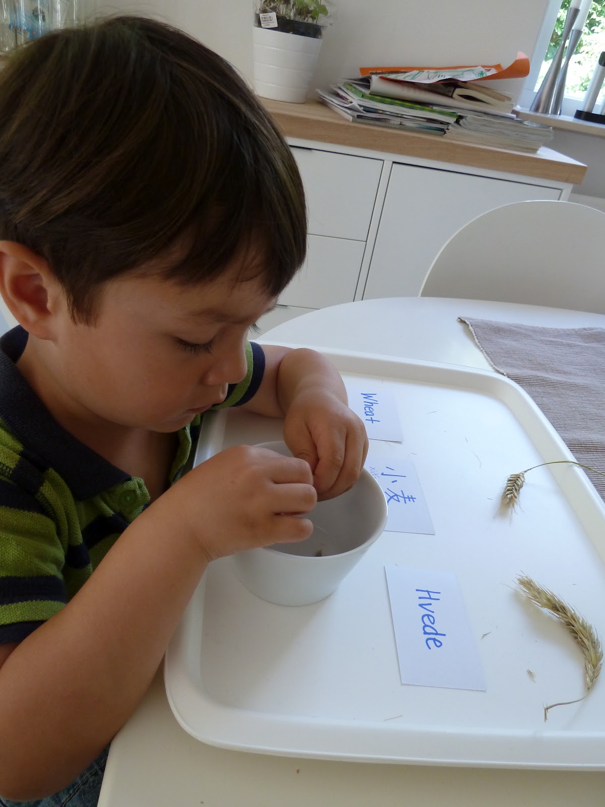 Family FECS: Montessori Activity: Home-Made Trilingual Cards with Real ...