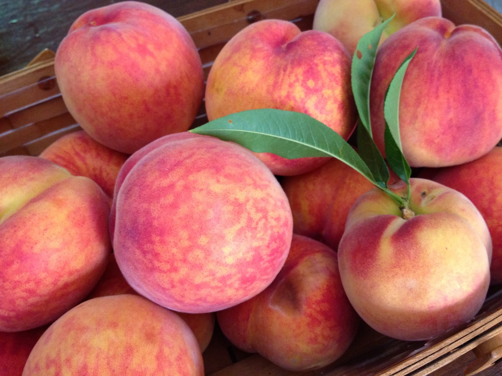 Keen for Peaches and Nectarines