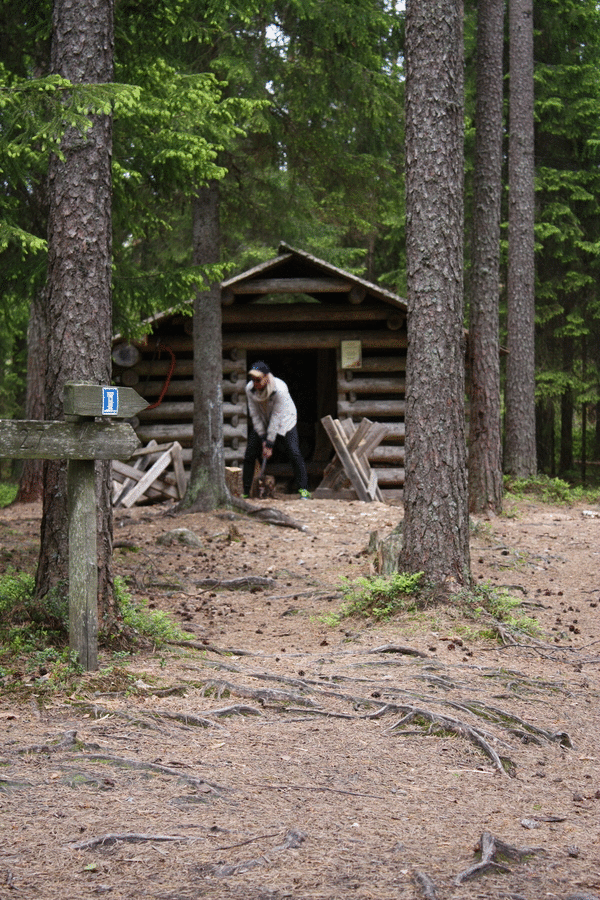 En Trevlig Resa: Nöjet med hårt arbete
