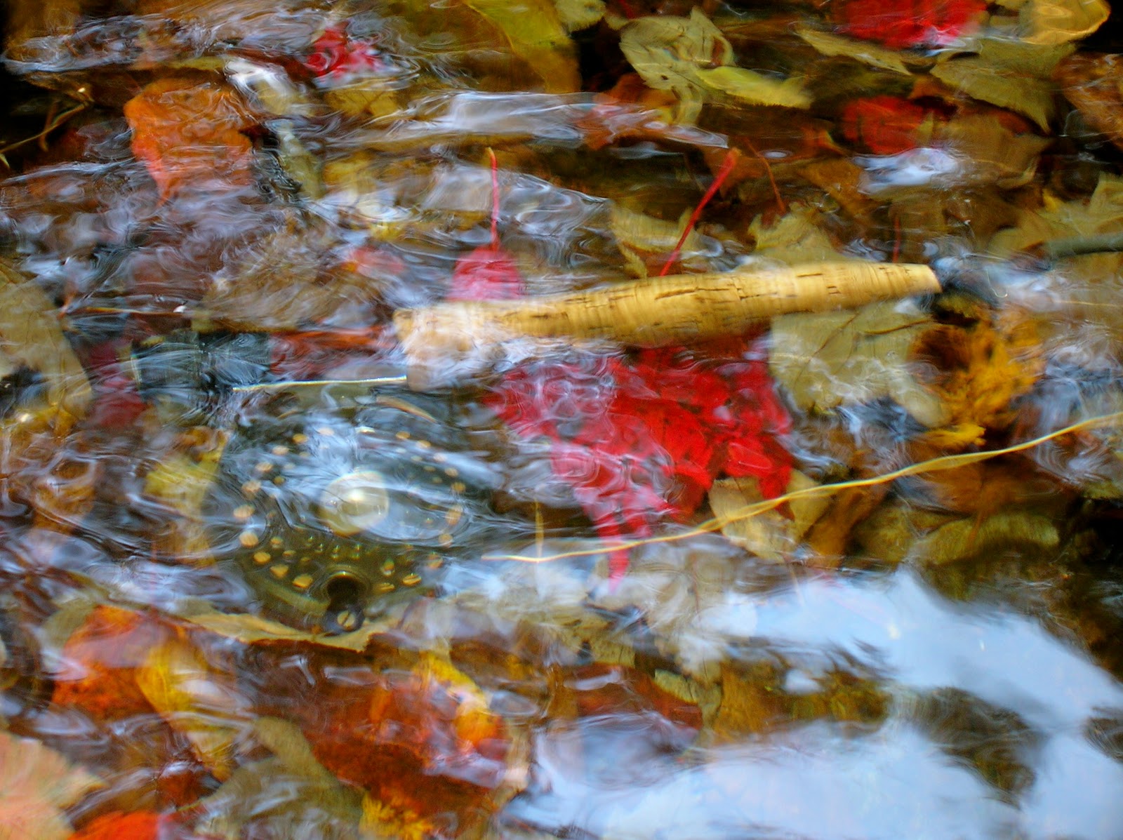 Small Stream Reflections: December 2011