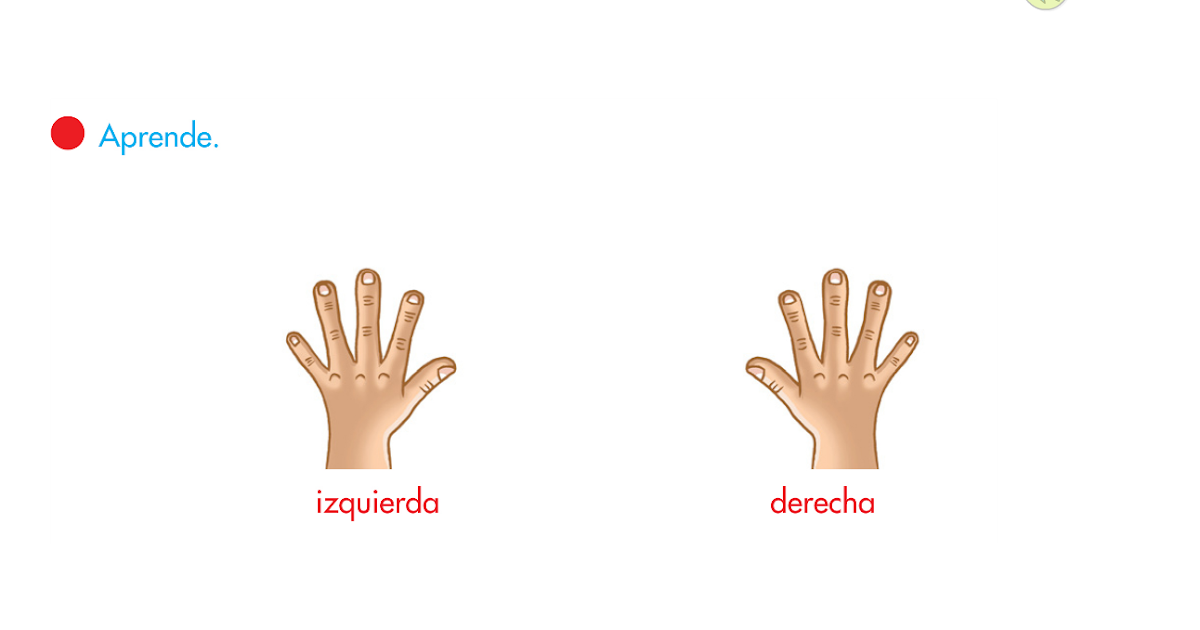 Blog de Primero 2018-2019: Derecha-izquierda