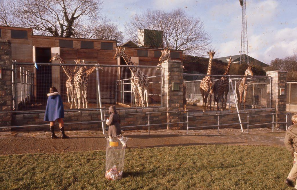 The Circus "NO SPIN ZONE": Ghost Zoo--Plymouth Zoo