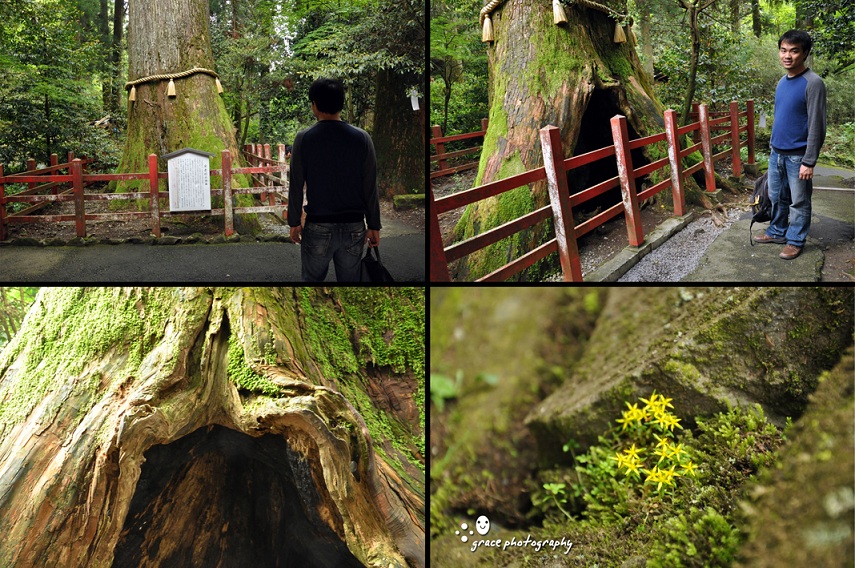 Pa Lu Bin Cheng: Mishima & Hakone, Japan