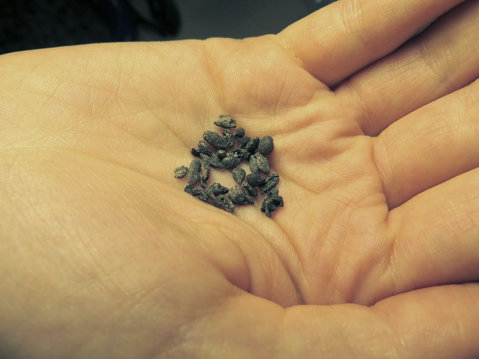 Byzantine Military: Farming on Roman Empire Desert Frontier