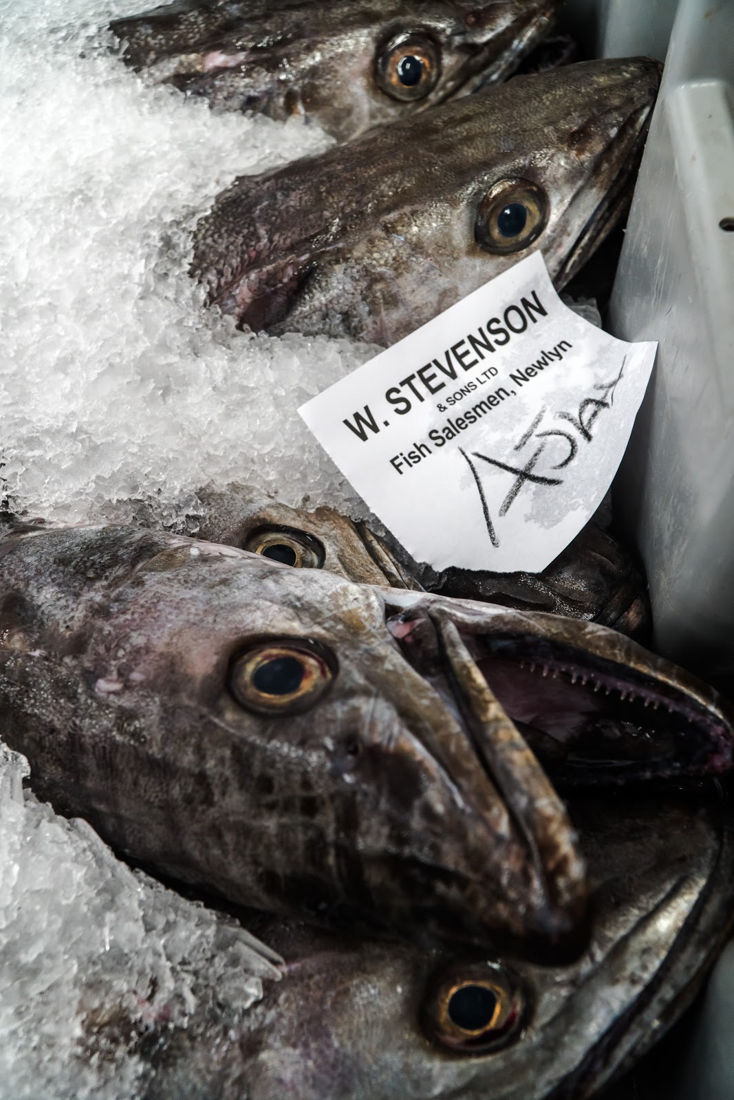 Through the Gaps! - Newlyn Fishing News: #FishyFriday on Newlyn fish ...