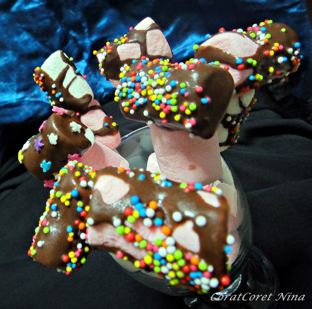 CoratCoret Nina: DoorGift - My Choc Dipped Marshmallow