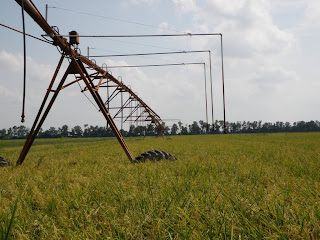 Growing the Conversation: by Valley Irrigation: Dry Wheel Track Options ...