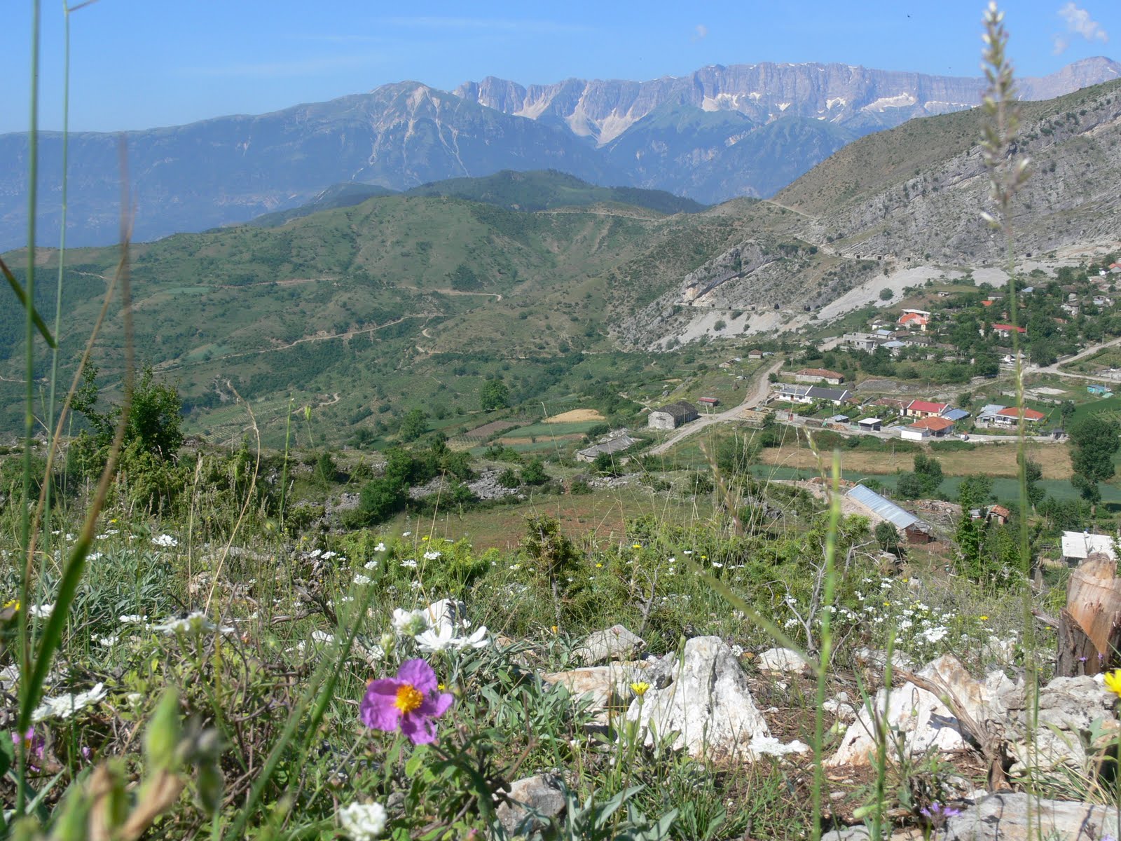 Hoteleri Turizem Albania: Leskoviku, konispoli, Miloti, Rubiku ...