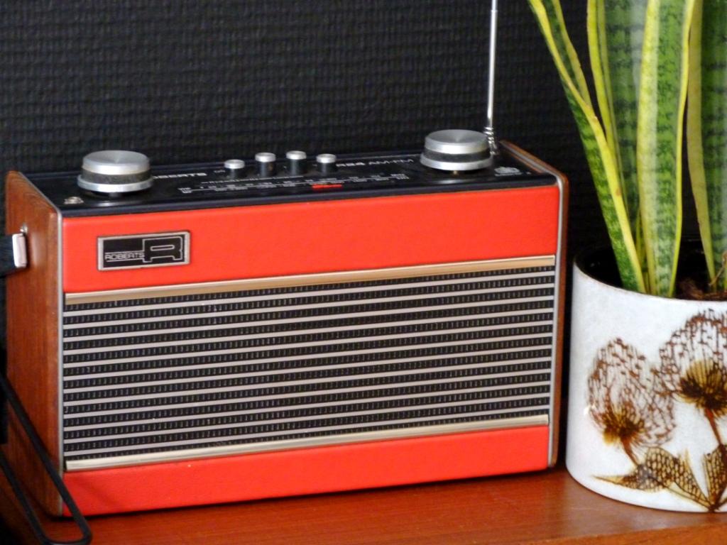 Fat Cat: Coming home