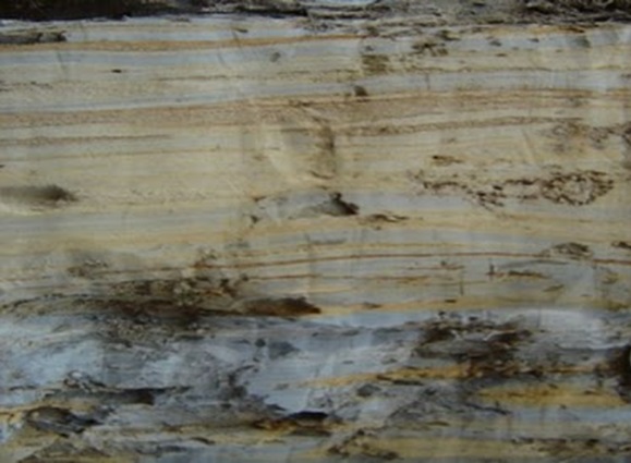 dhezakaria_jaya: STRUKTUR SEDIMEN