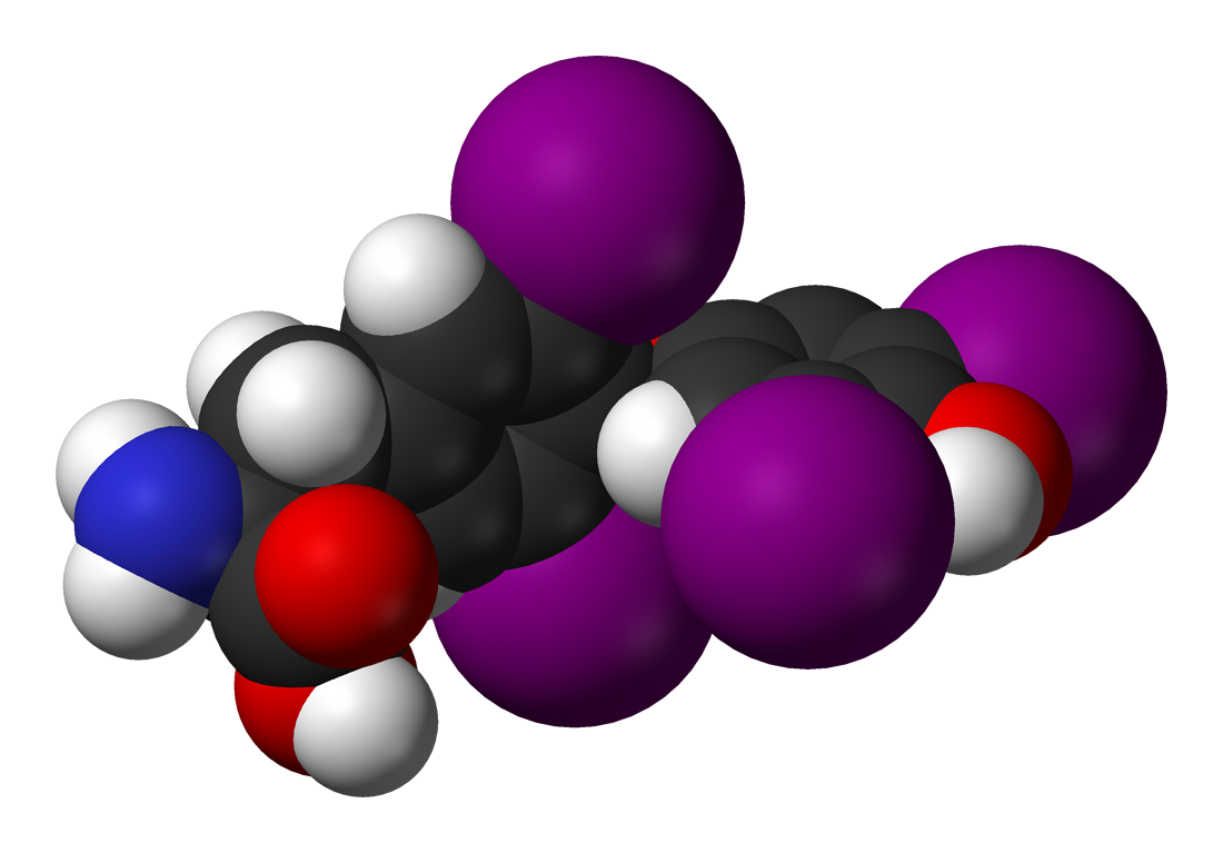 PROTEINAS Y AMINOACIDOS: PROTEÍNAS SIMPLES