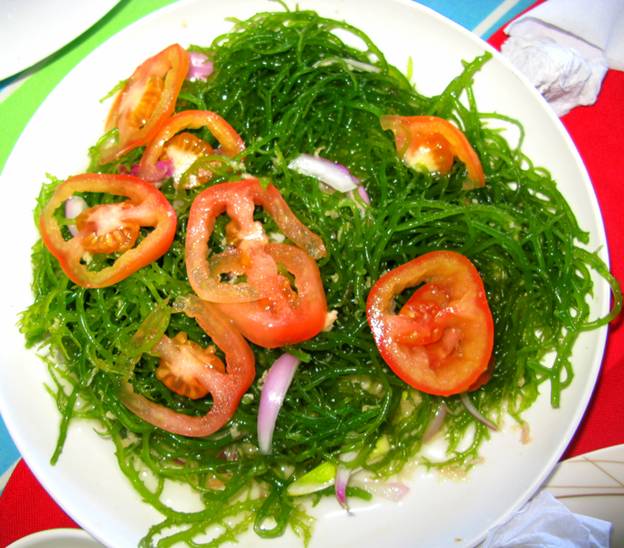 Eye in the Sky: Hai-Ma & Matias Seafood Restaurant - Sta. Cruz, Davao ...