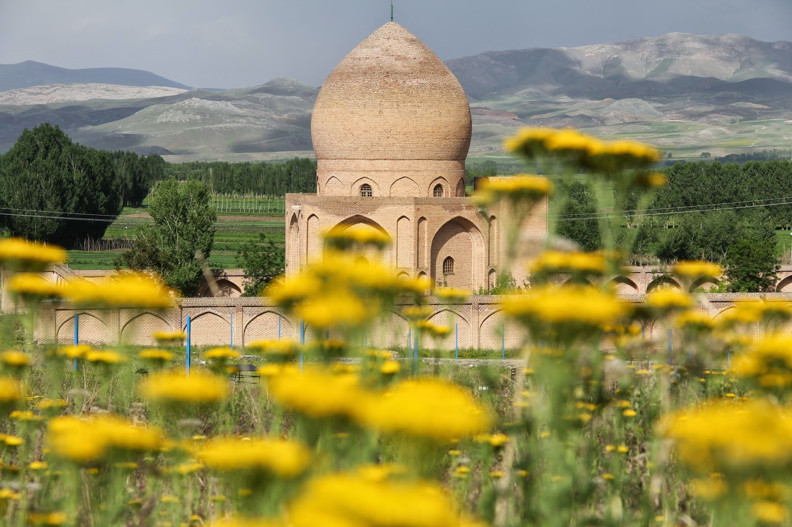 Afternoon Map: Chaldiran at 500