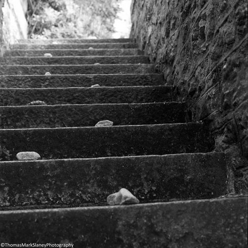 Thomas Mark Slaney Photography