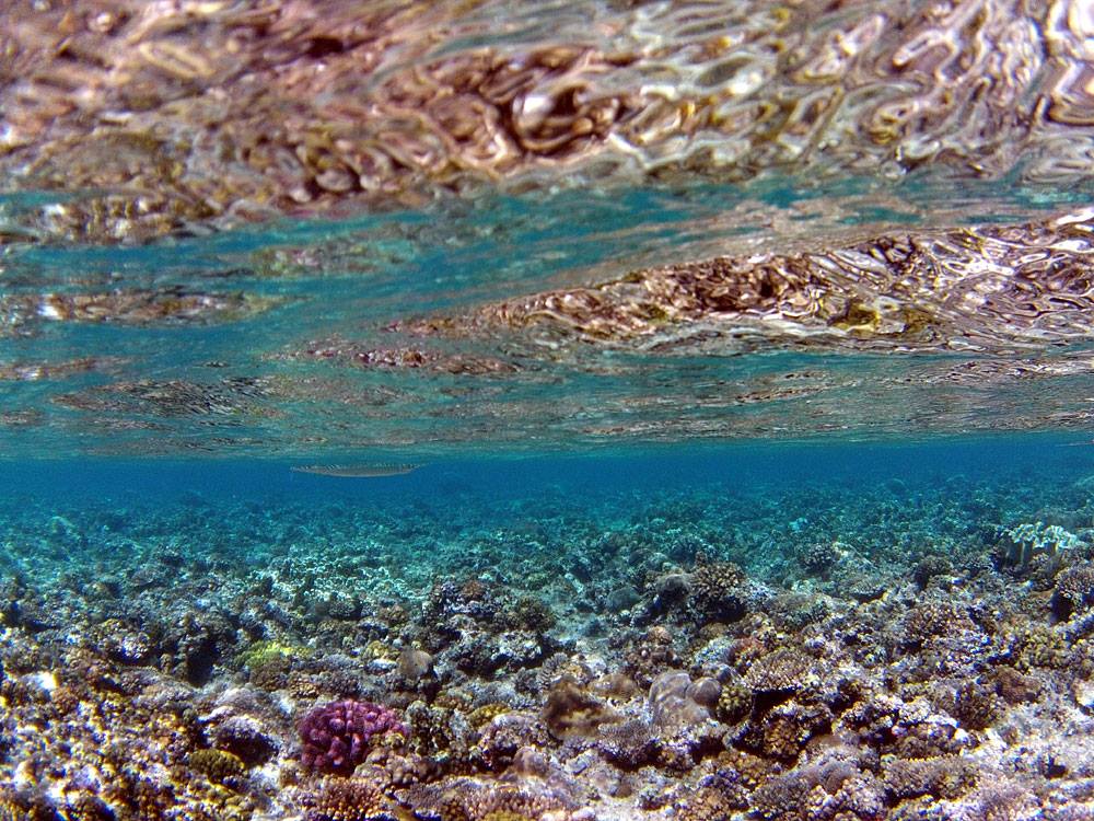 Visiter Okinawa Japon : Cape Maeda Point Okinawa